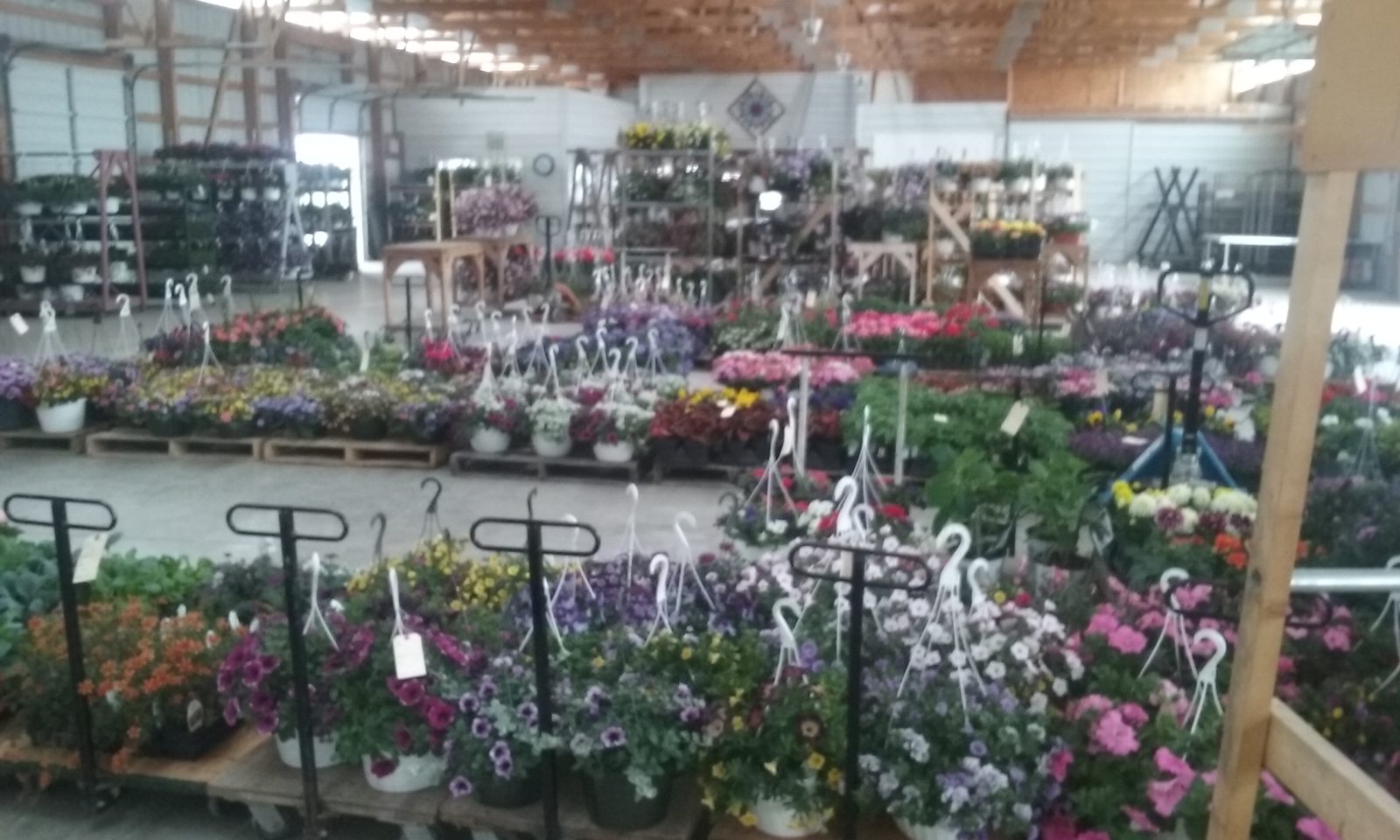 Flower and Produce – Growers Produce Auction