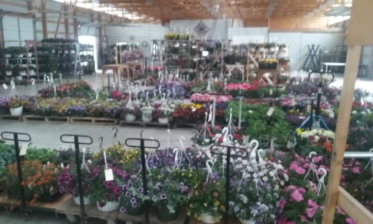 Flower and Produce – Growers Produce Auction